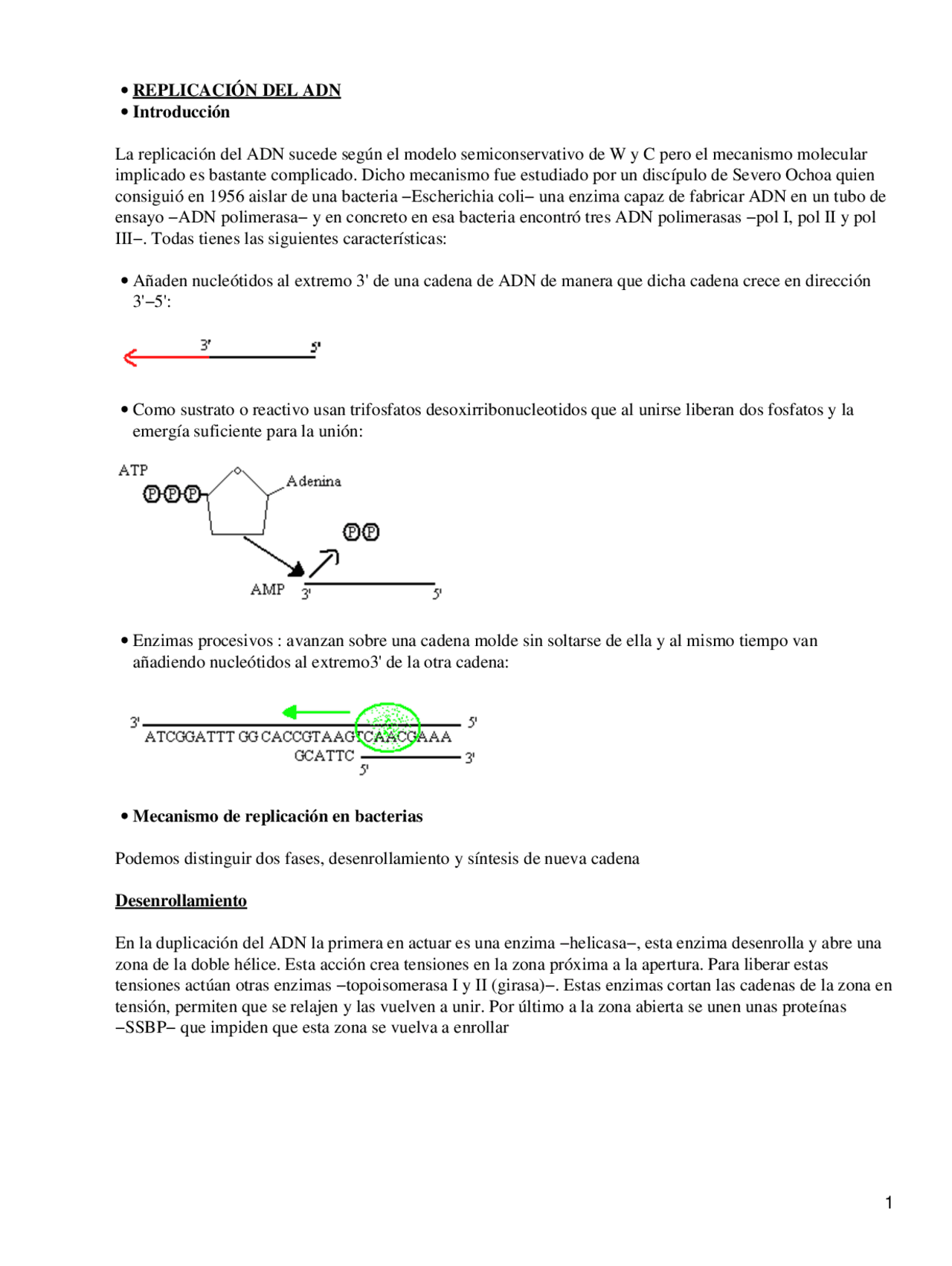 Apuntes Sobre La Replicación Del Adn Docsity