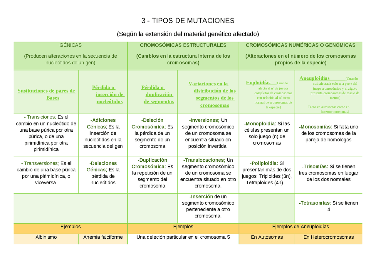 Apuntes Sobre Los Tipos De Mutaciones Docsity
