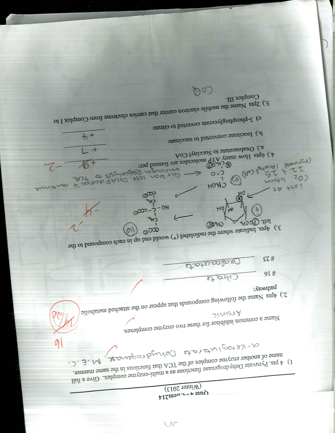 Exam With Solution For Elementary Biochemistry Chem 214 Docsity