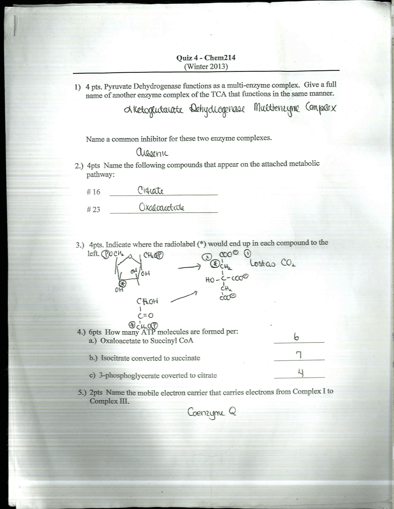 Elementary Biochemistry Quiz 4 With Solution Chem 214 Docsity