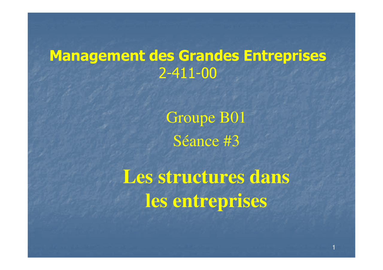 Notes Sur Le Management Des Grandes Entreprises 1° Partie Docsity