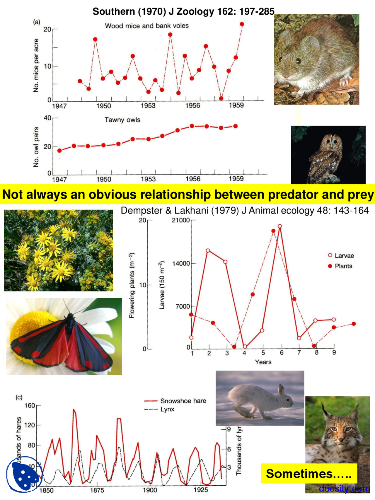 Modeling Predator Prey Dynamics Community Ecology Lecture Slides