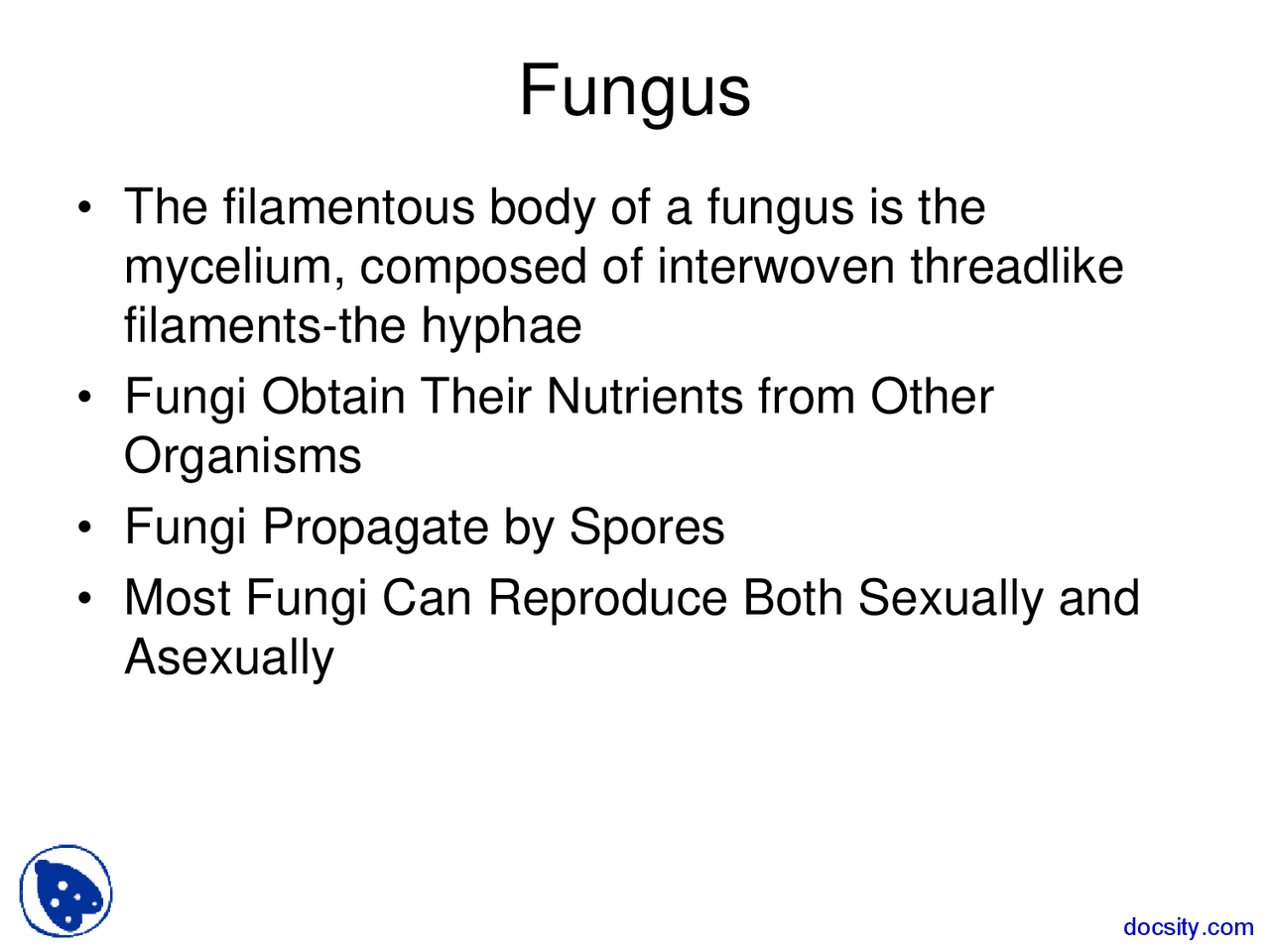 Fungus Introductory Biology Laboratory Lecture Slides Slides