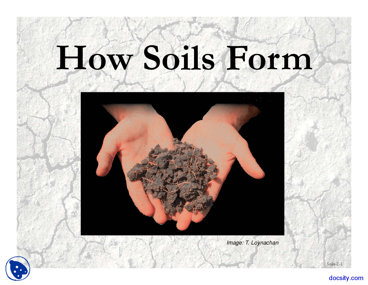 Formation of Soil - Earth Science - Lecture Slides - Docsity