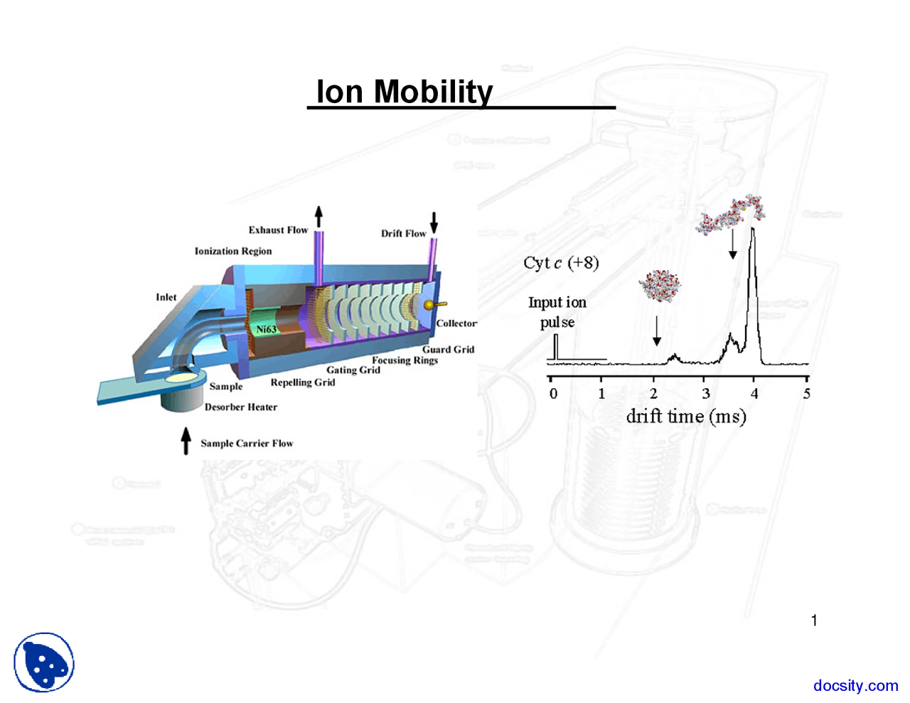 Ion Mobility Mass Spectrometry Lecture Slides Docsity