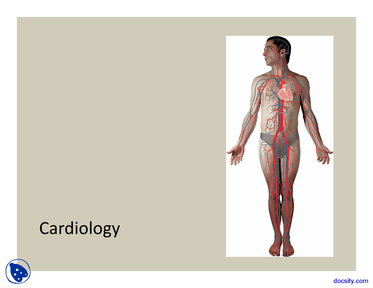 Cardiology - Medical Science - Lecture Slides | Slides Medical Sciences ...