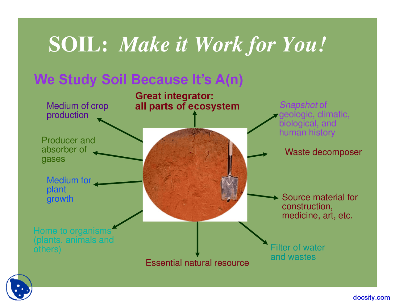 Soil - Environmental Science - Lecture Slides - Docsity