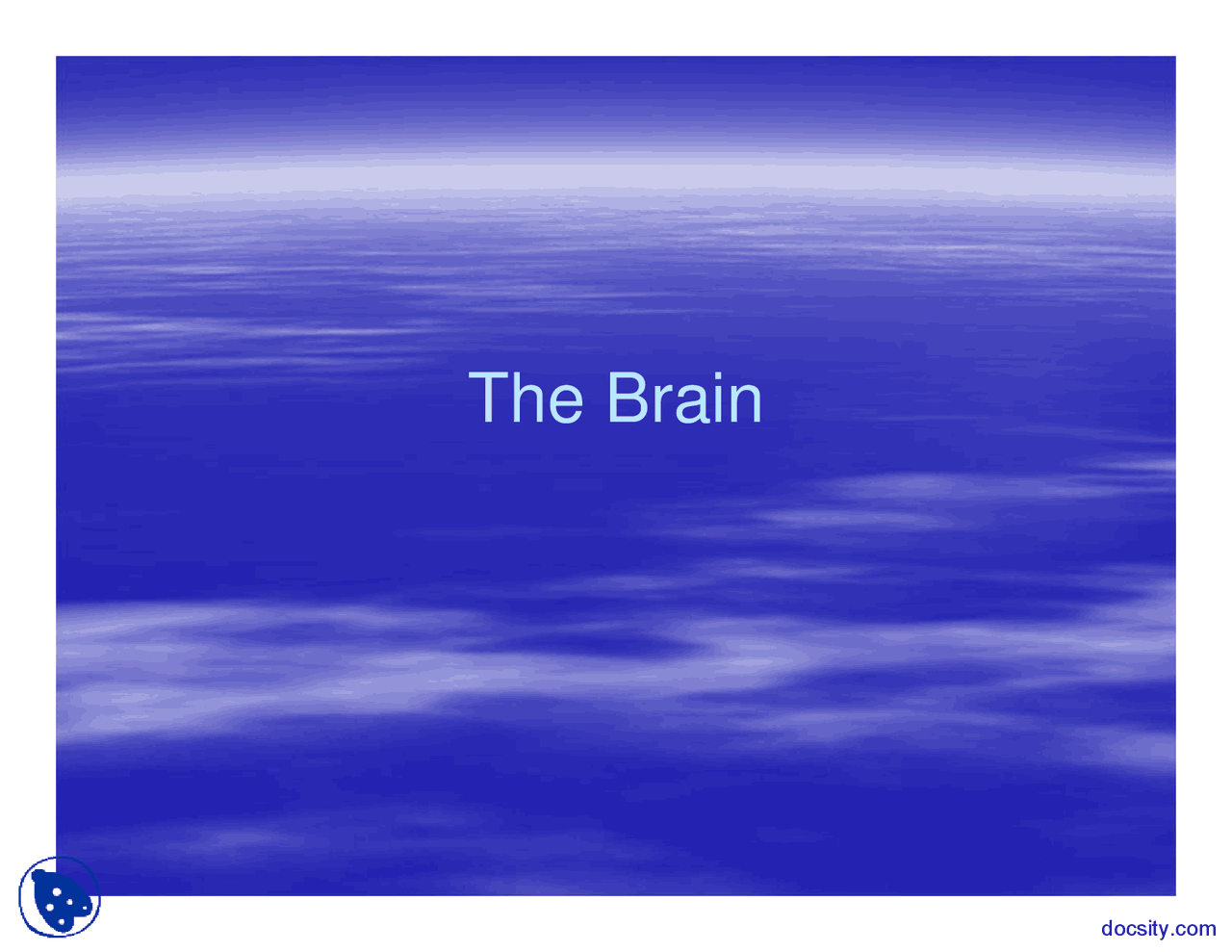 Brain Biology Lecture Slides Docsity