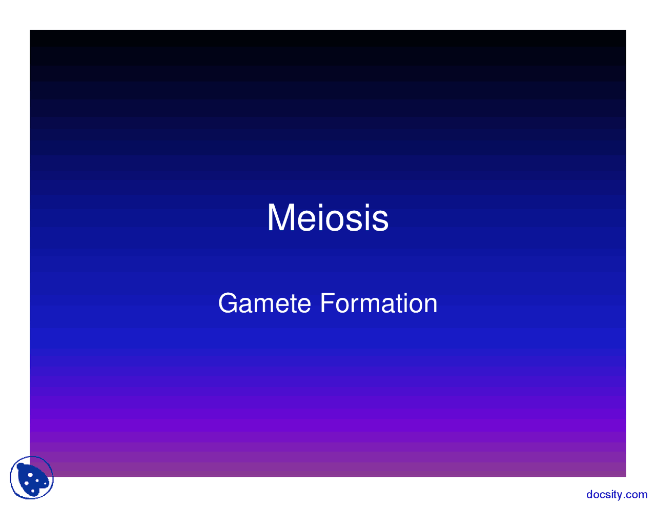 Meiosis Biology Lecture Slides Docsity