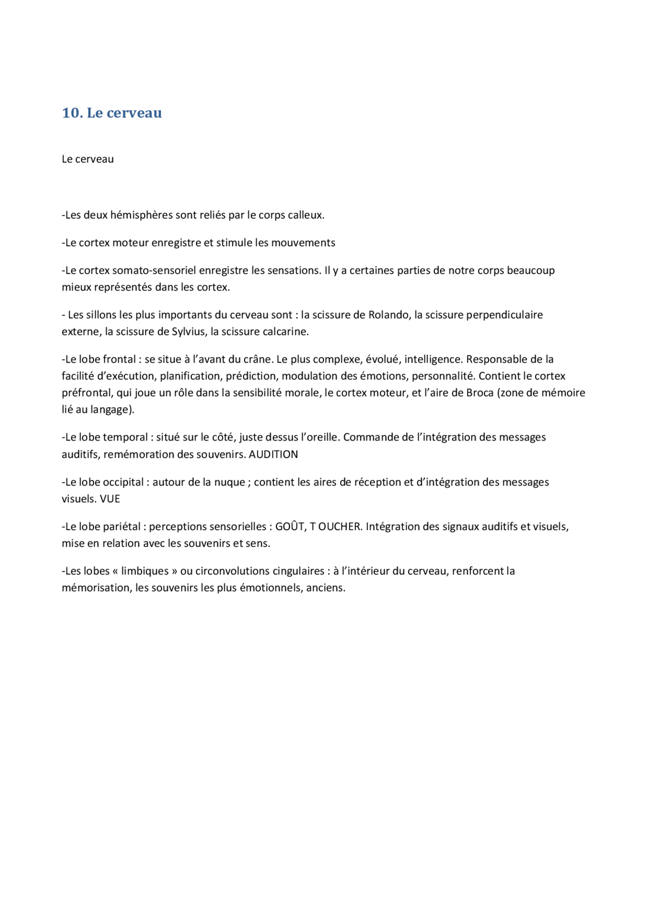 Notes Sur Le Thème Du Cerveau Docsity