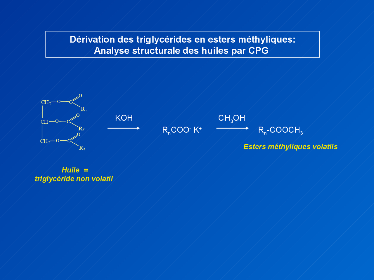 Notes Sur La Question De La Chromatographie Cpg 3° Partie Docsity