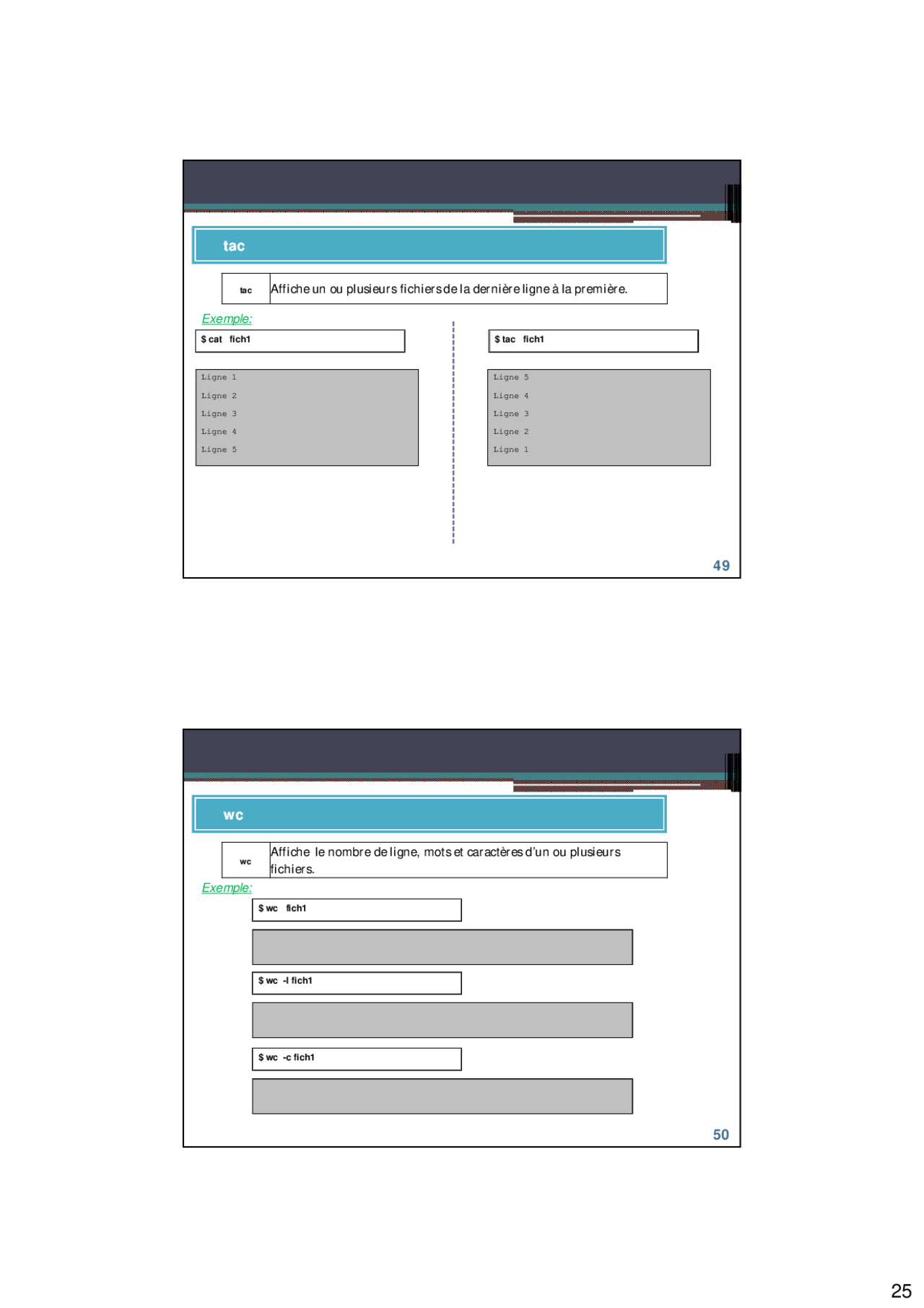 Notes Sur Les Commandes De Base Unix Et Gnu 3° Partie Docsity