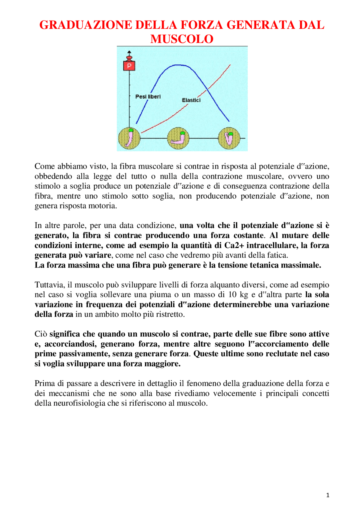 Muscolo (Graduazione della forza) - Fisiologia - 6/9 - Docsity