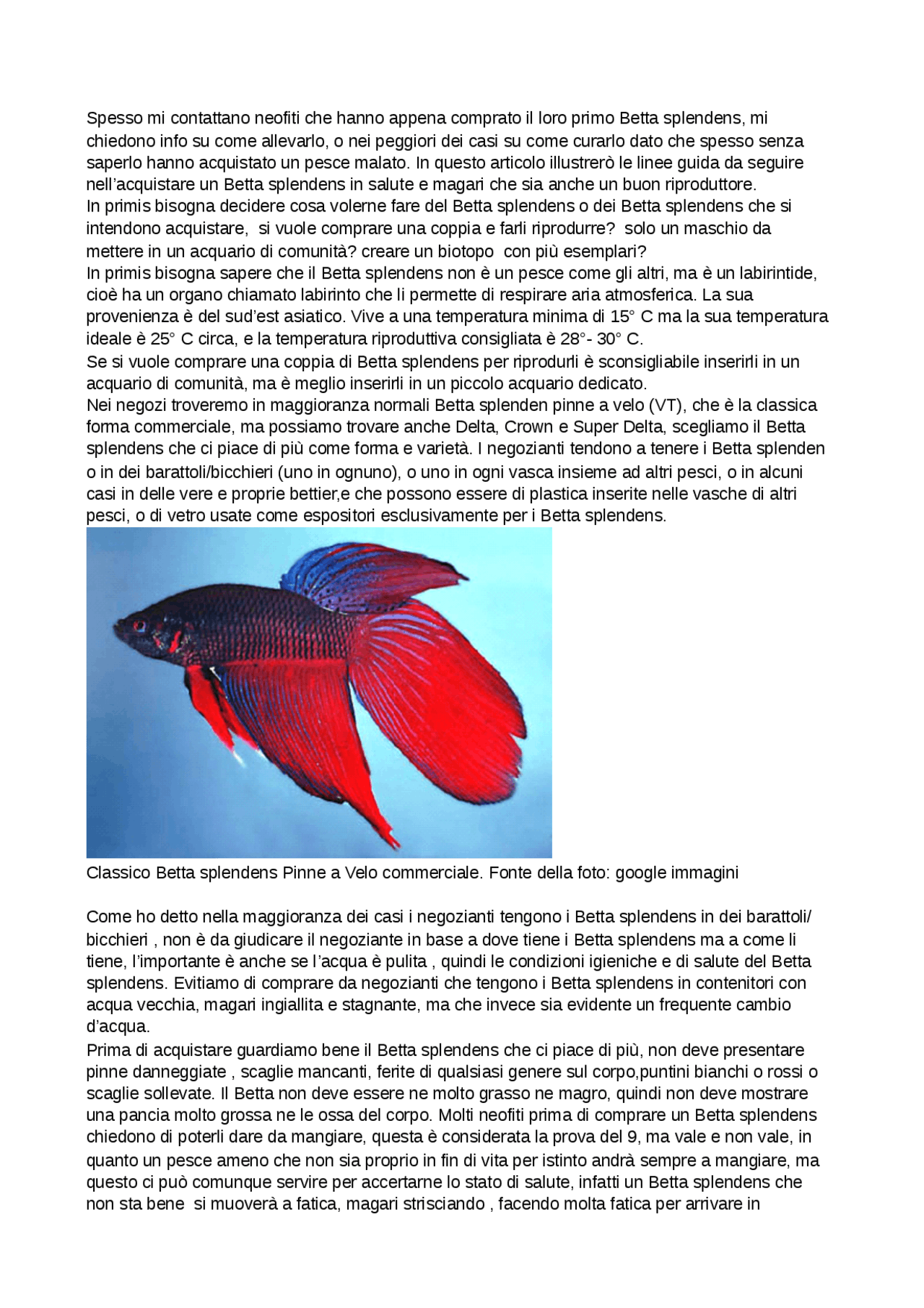 Betta Splendens 2 Guide Progetti E Ricerche Di Biologia Docsity
