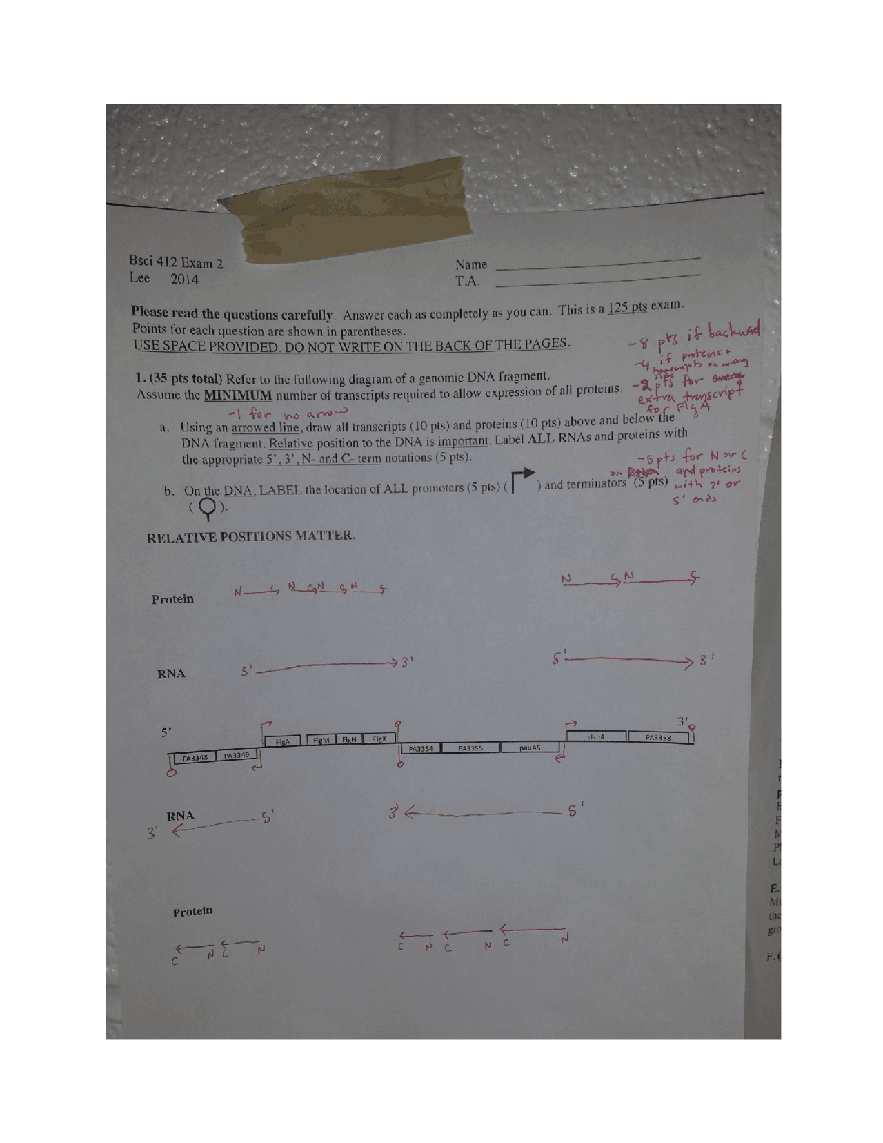 Exam 2 With Answers Microbial Genetics Bsci 412 Docsity