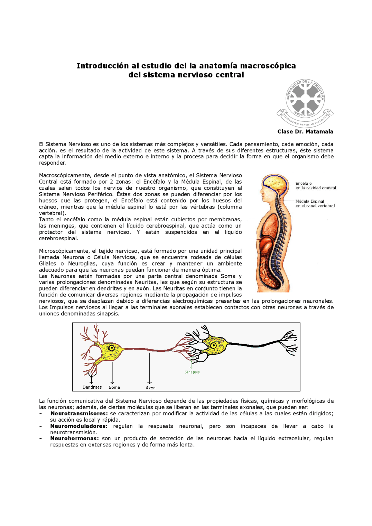 Apuntes Sistema Nervioso Neurología Docsity