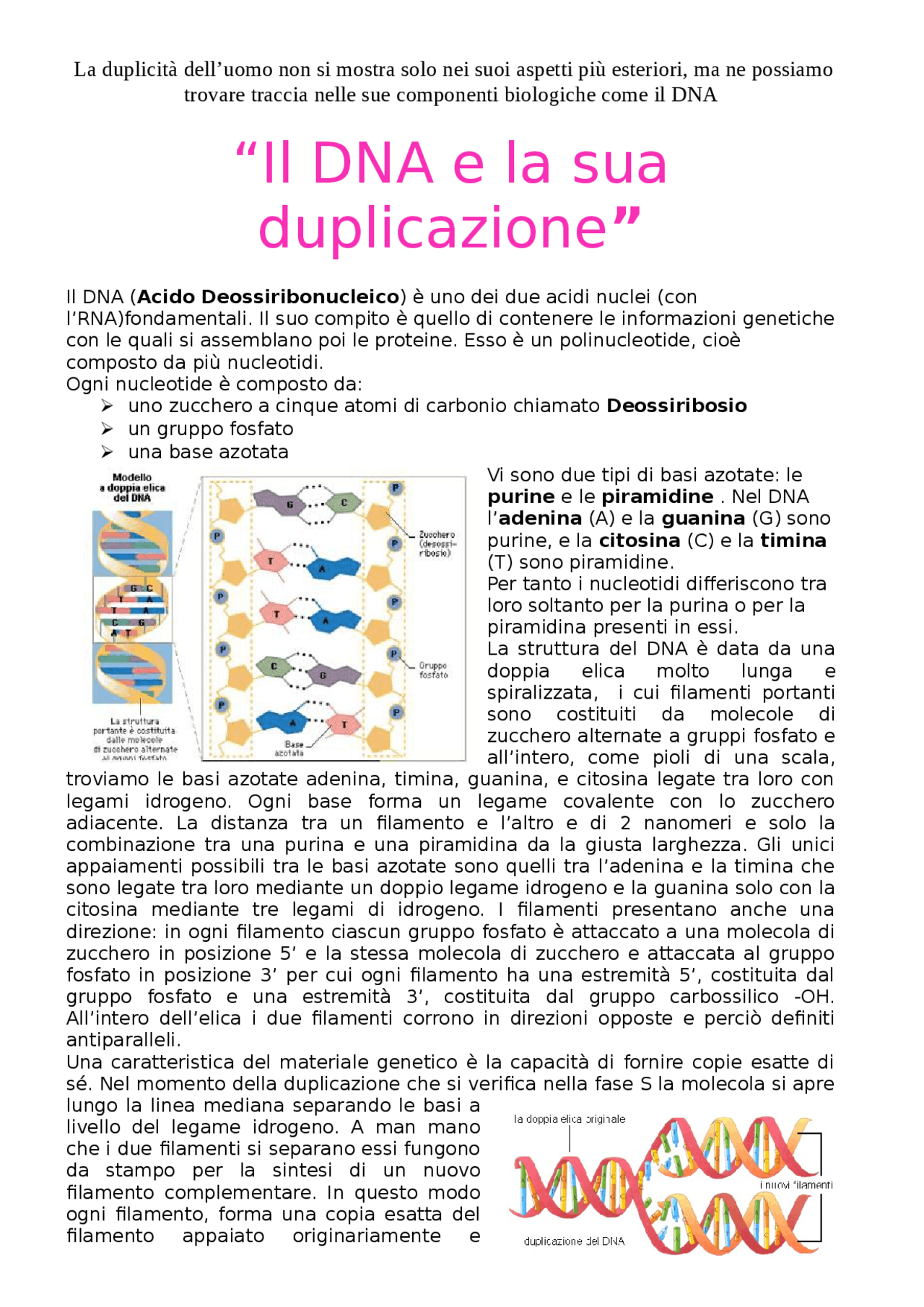 Il Dna E La Sua Duplicazione Docsity