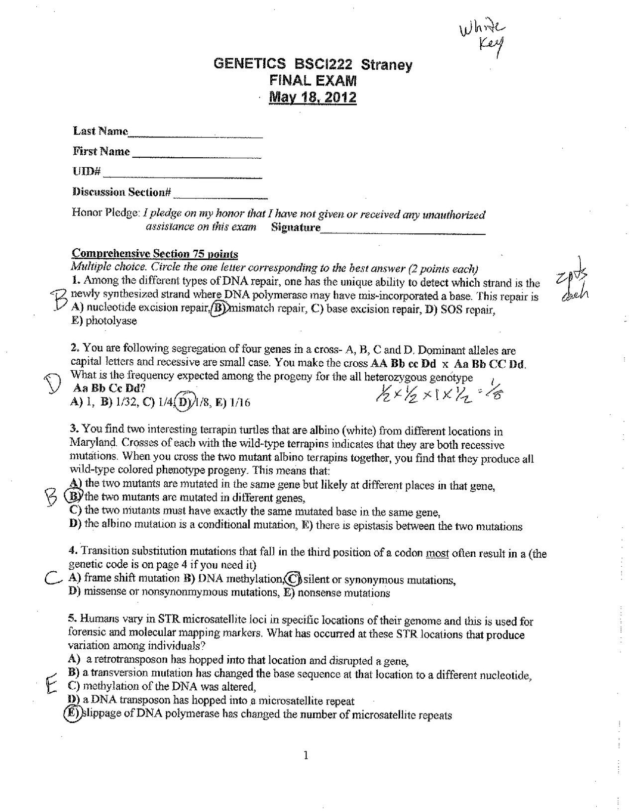 Final Exam With Solution Principles Of Genetics Bsci 222 Docsity