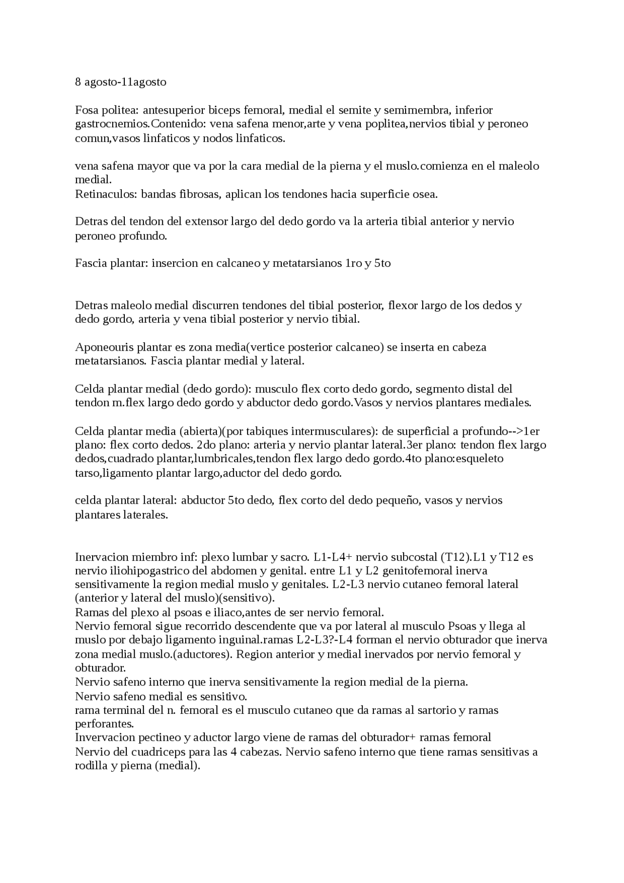Anatomía Miembro Inferior 03 Apuntes De Anatomía Docsity