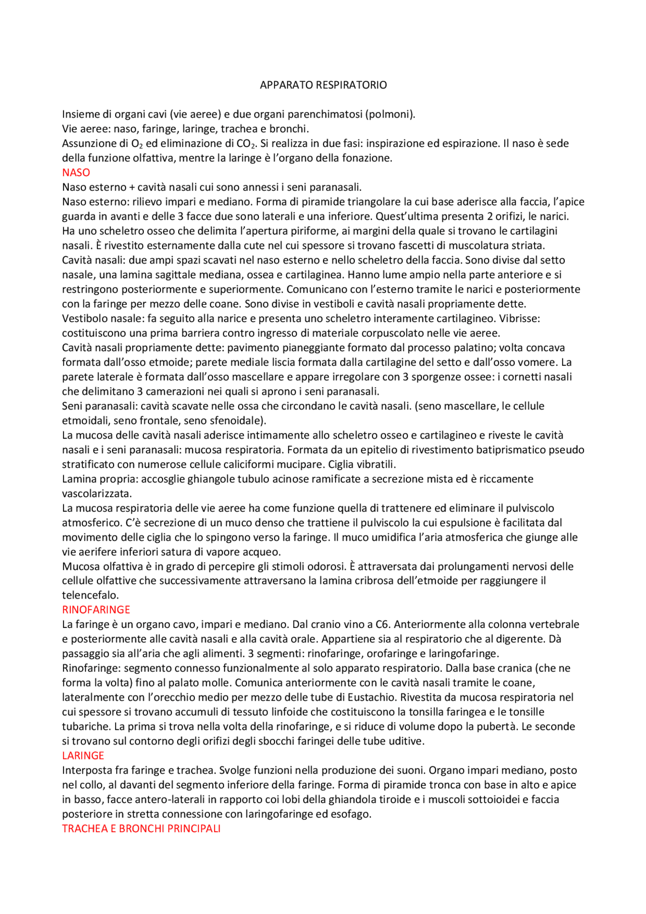 Appunti Sullapparato Respiratorio Dispense Di Anatomia Docsity