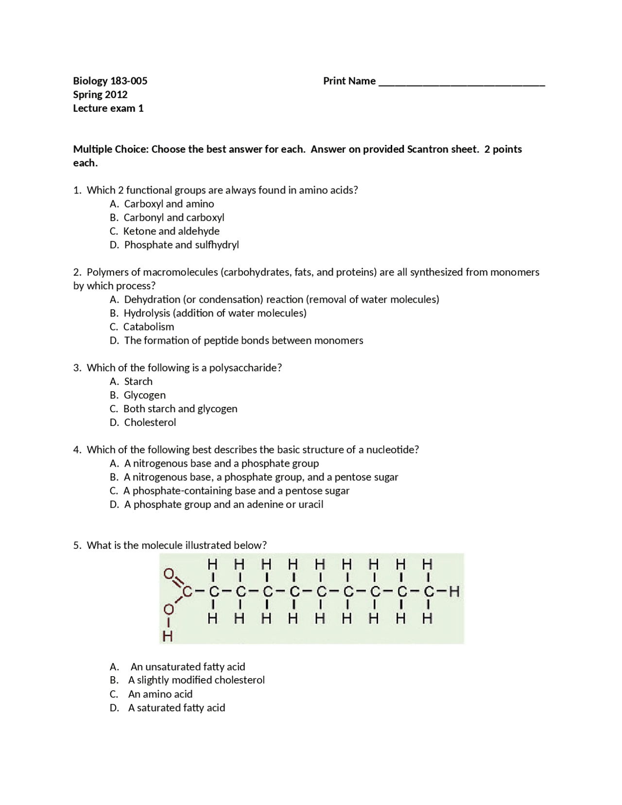Practice Exam 1 - Introductory Biology: Cellular and Molecular Biology ...