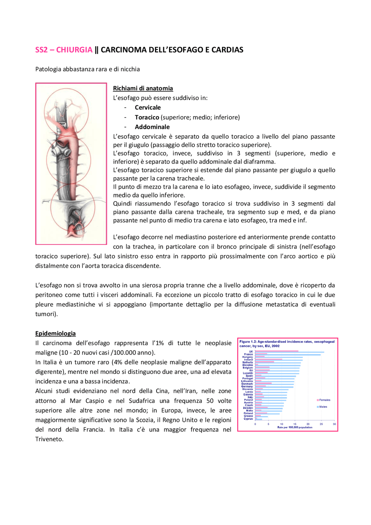Appunti sul carcinoma dell'esofago e cardias - Docsity