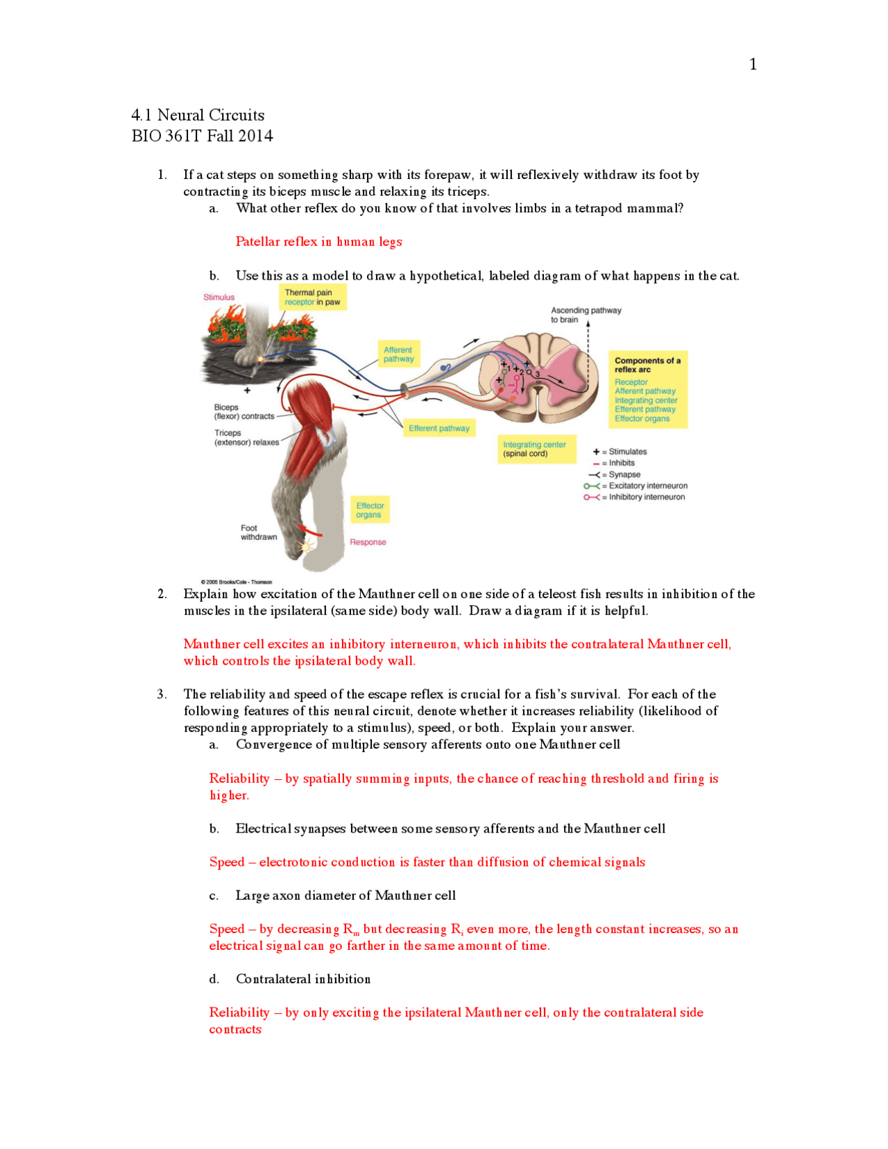 Notes on Neural Circuits - Comparative Animal Physiology | BIO 361T ...