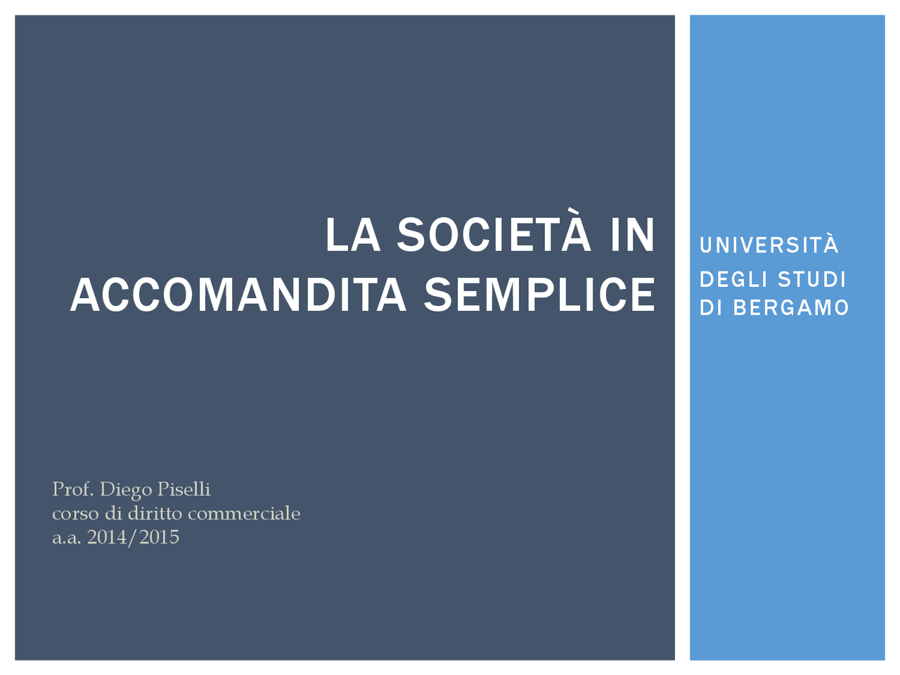 La Societa In Accomandita Semplice Docsity
