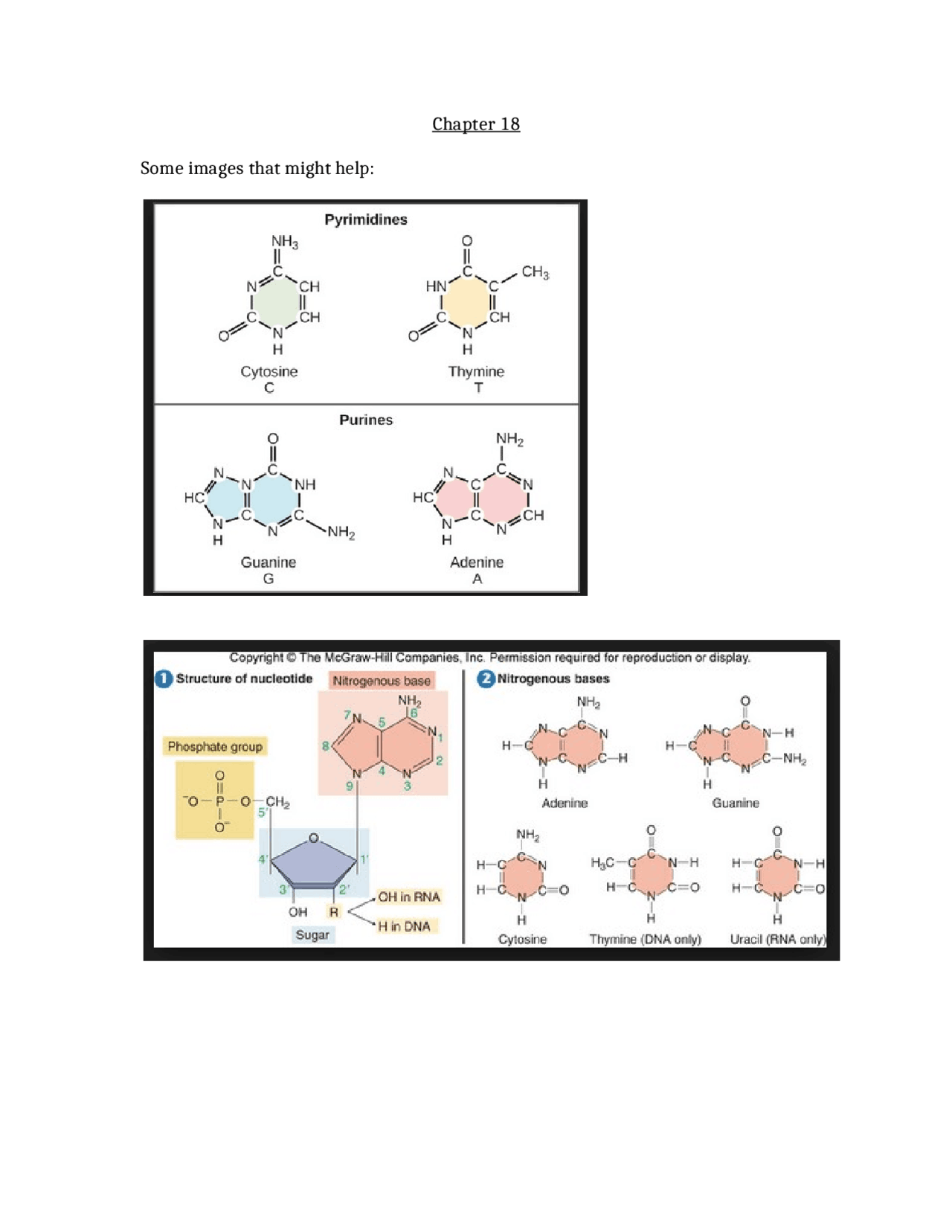 Exam 4 Notes For Chromosomes Genetics Biol 2004 Docsity