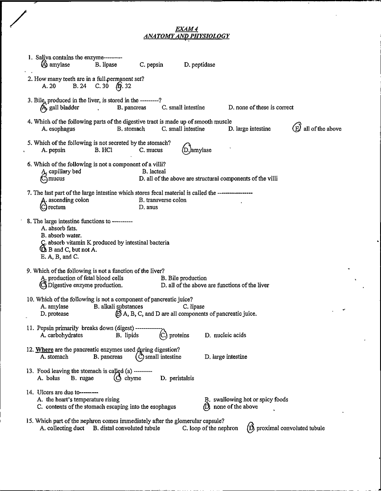 Anatomy and Physiology Exam with Solutions | BIO 1004 | Exams ...