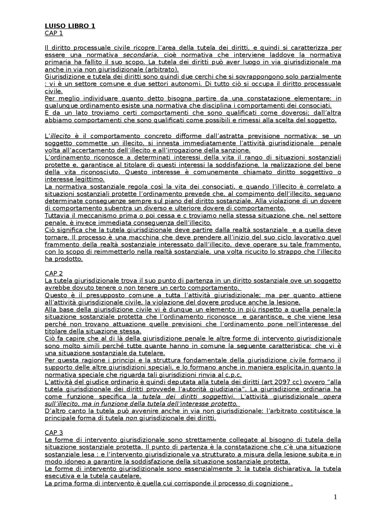 Riassunto Luiso Docsity