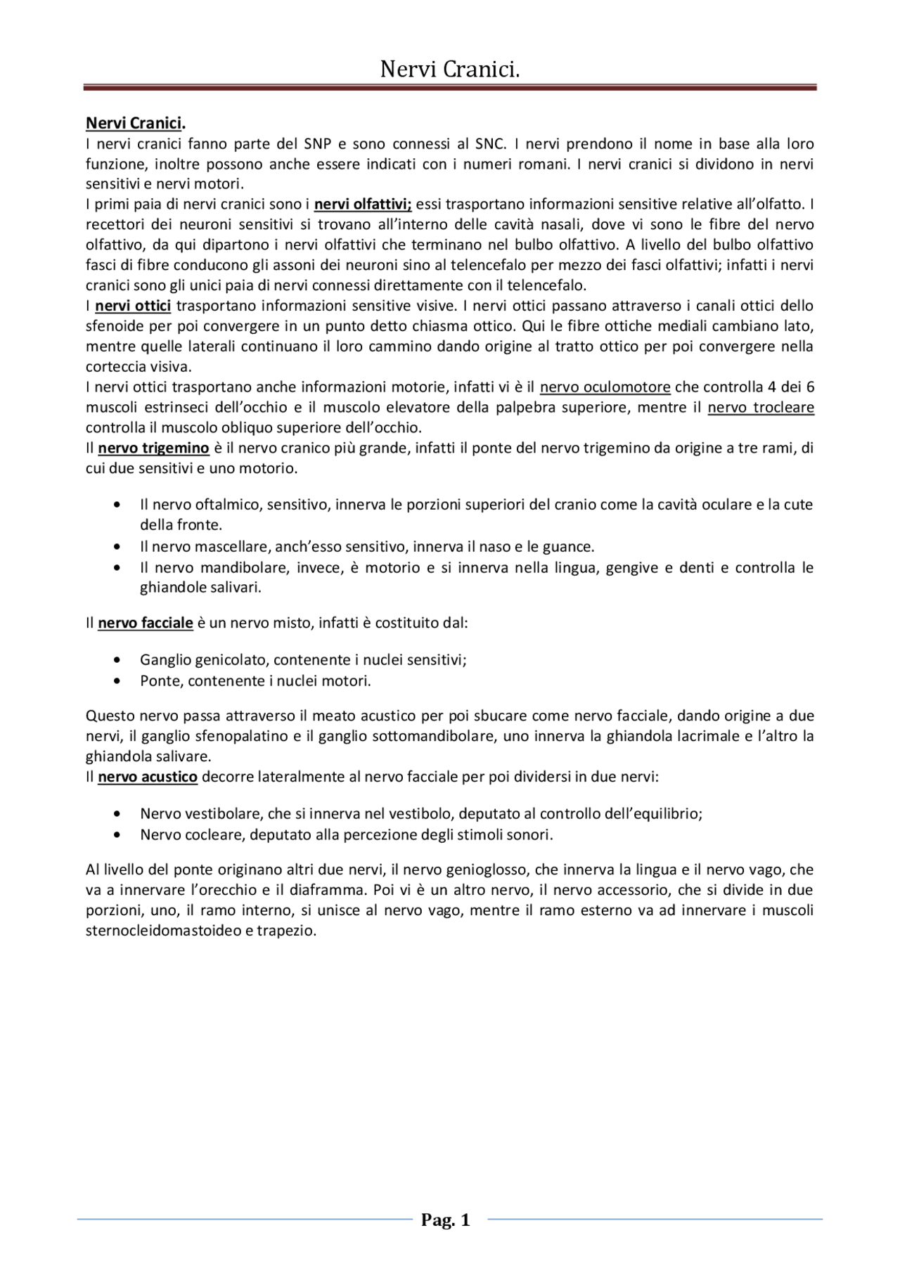 3 Nervi Cranici Docsity