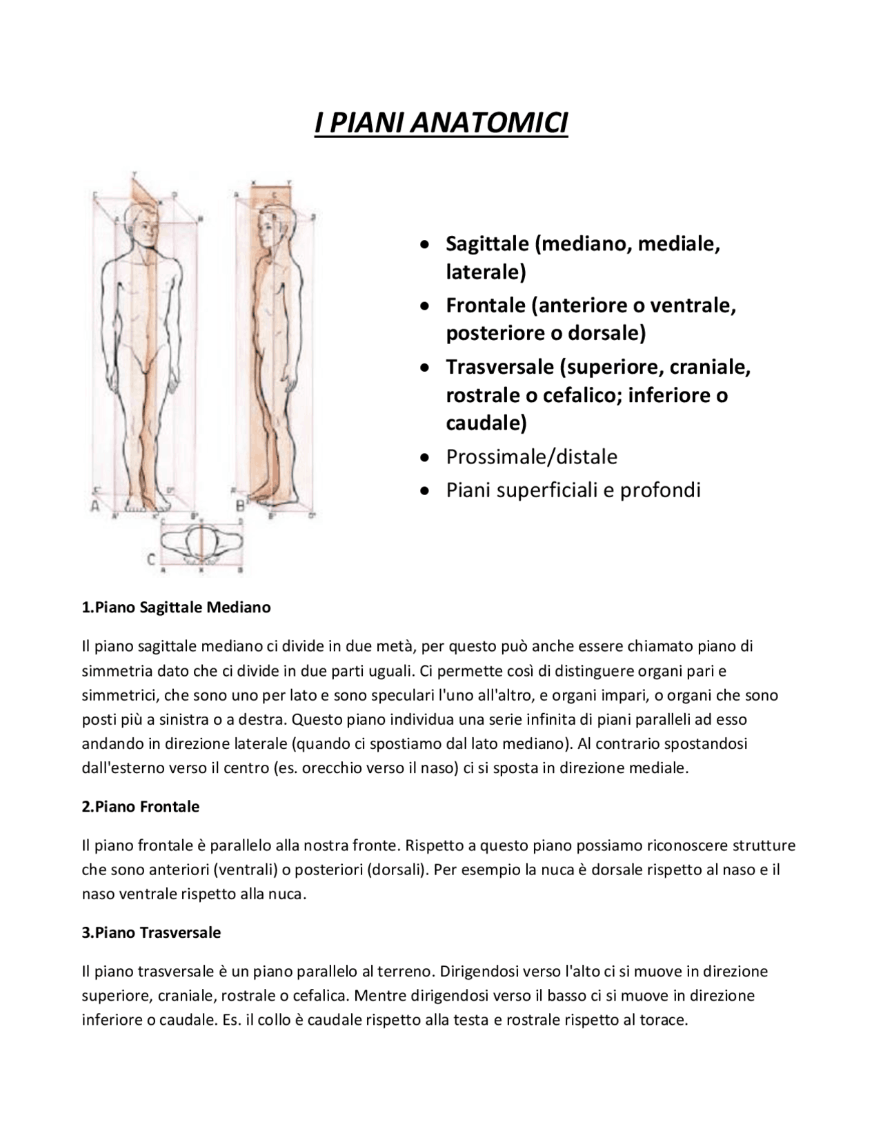 1 lezione anatomia I - Piani anatomici e Osso - Docsity