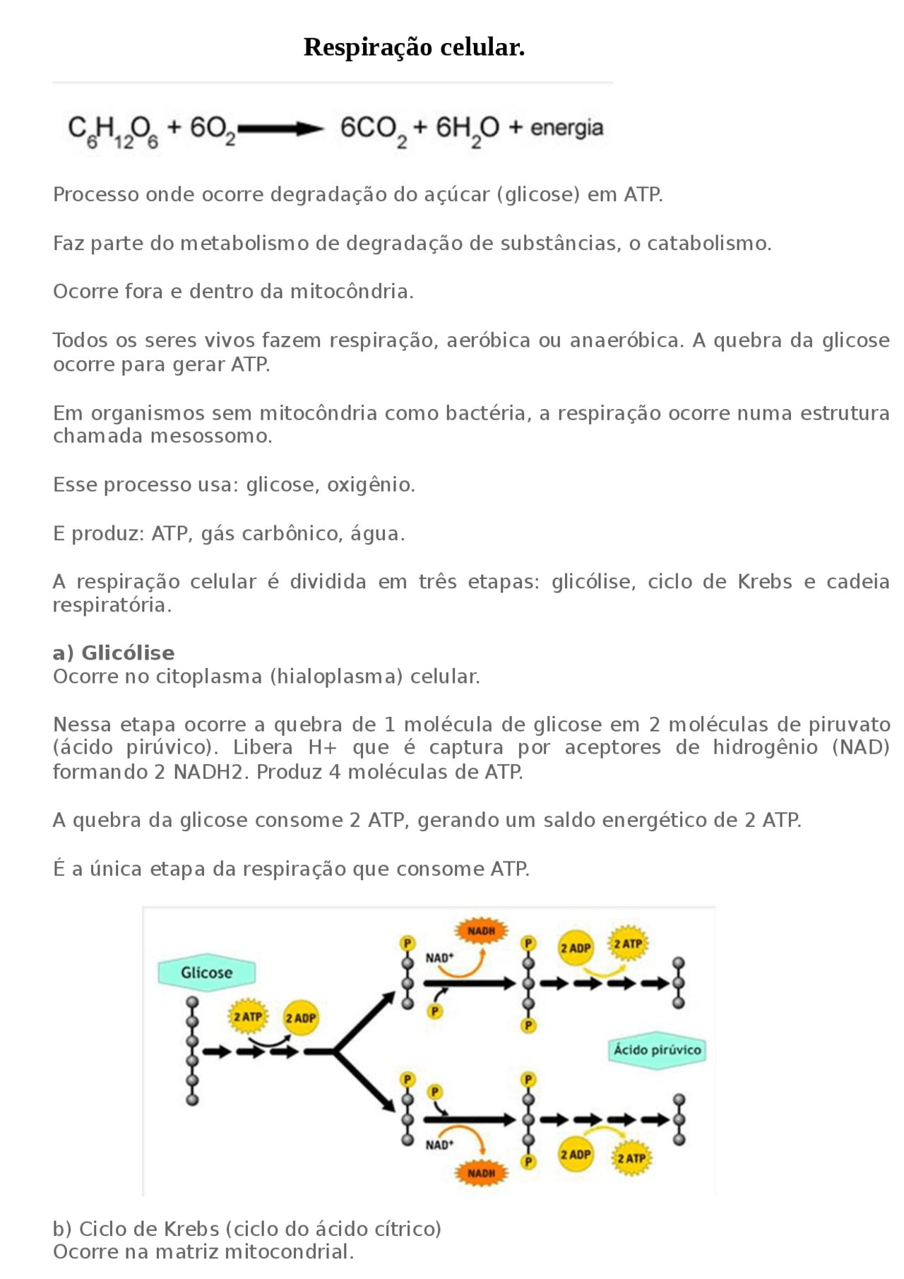 Respiração Celularfermentação Docsity