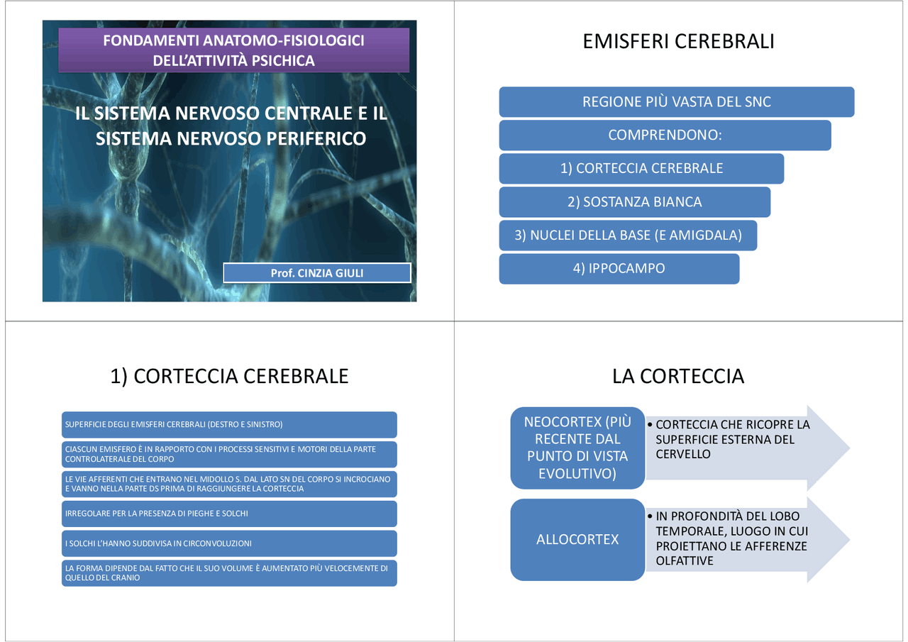 Sistema Nervoso Centrale E Periferico Docsity