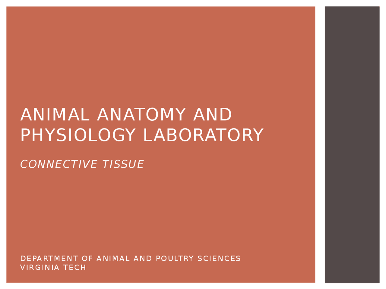 Connective Tissue Lecture Slides Als 2304 Docsity