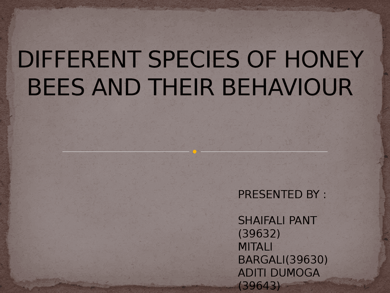 Honey bees - Docsity