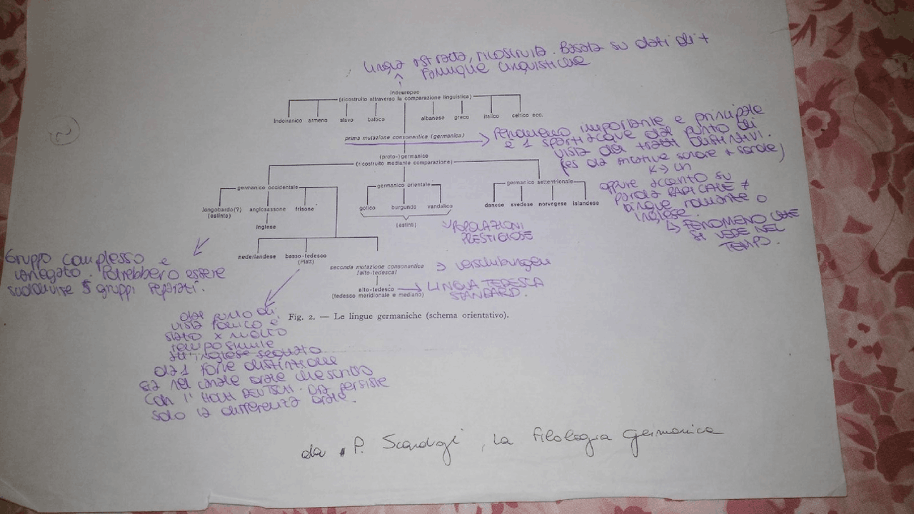 Schema Lingue Germaniche Docsity