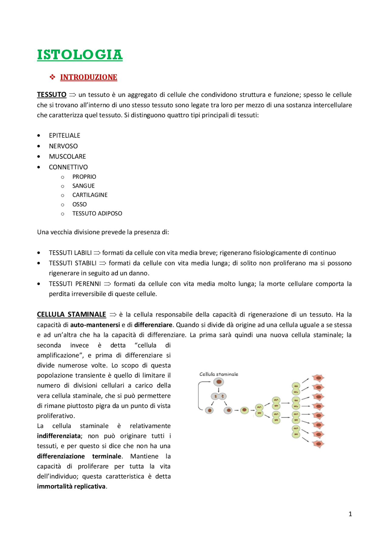 Appunti completi di Istologia - Docsity