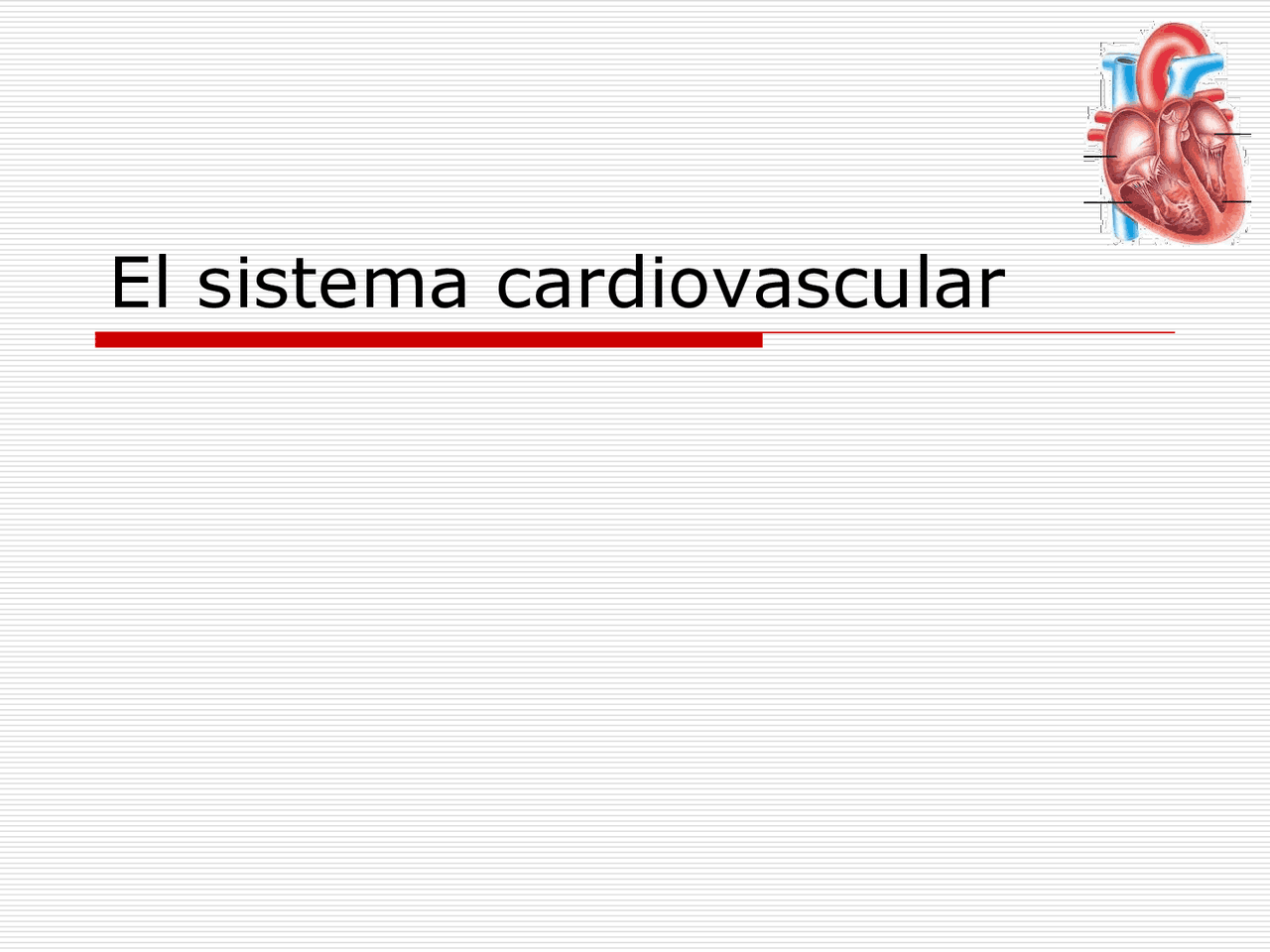Apuntes Sobre El Sistema Cardiovascular Docsity