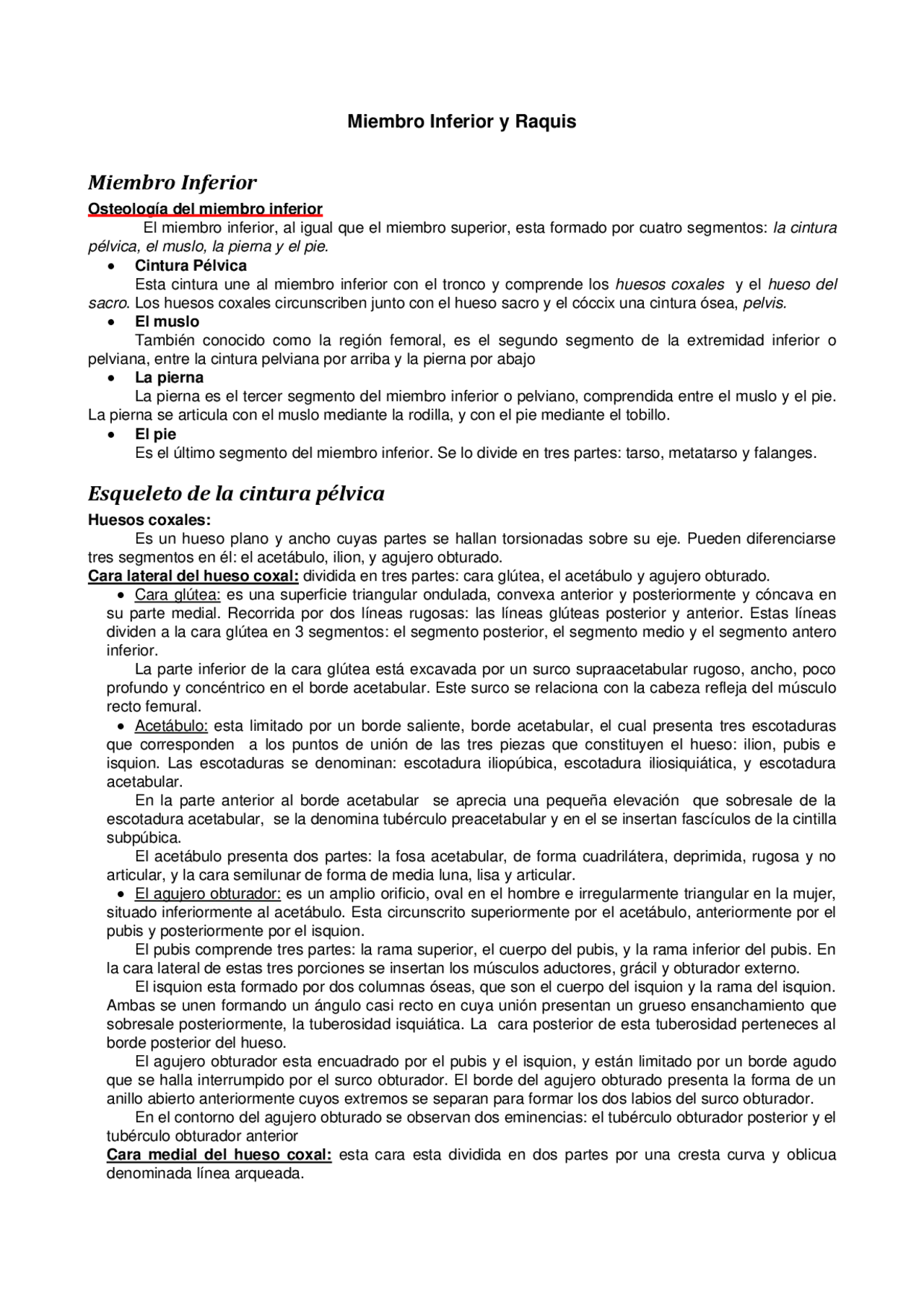 Apuntes Sobre El Miembro Inferior Docsity
