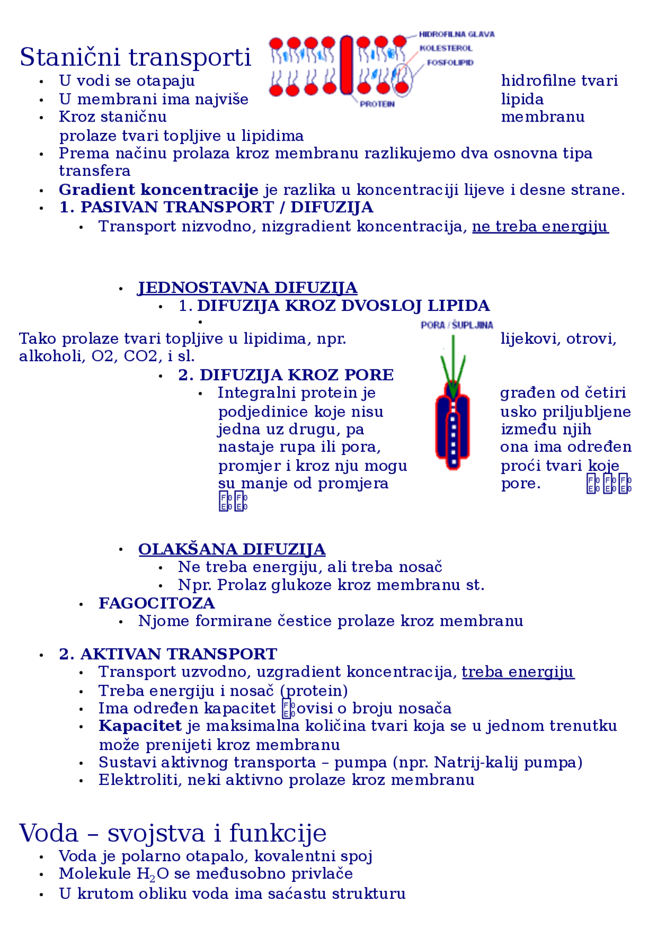 Biohemija: stanični transporti, svojstva i funkcije vode, enzimi ...