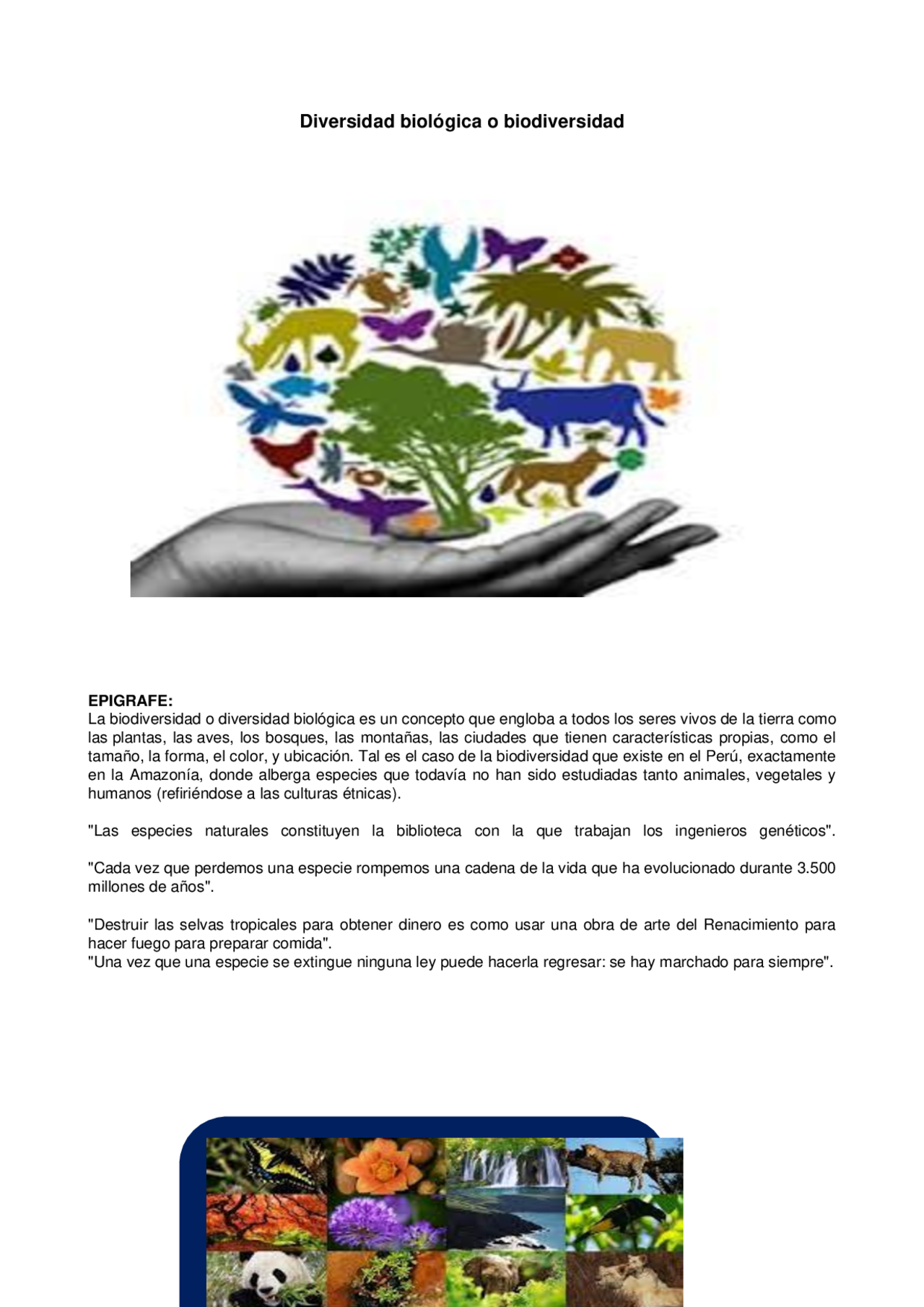 Apuntes Sobre La Biodiversidad Docsity