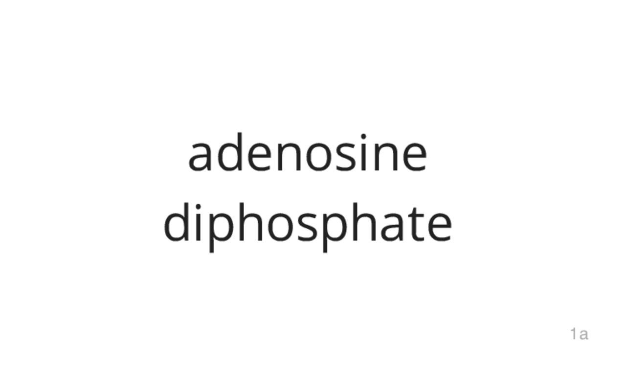 Mcas biology flash cards | Exams Biology | Docsity