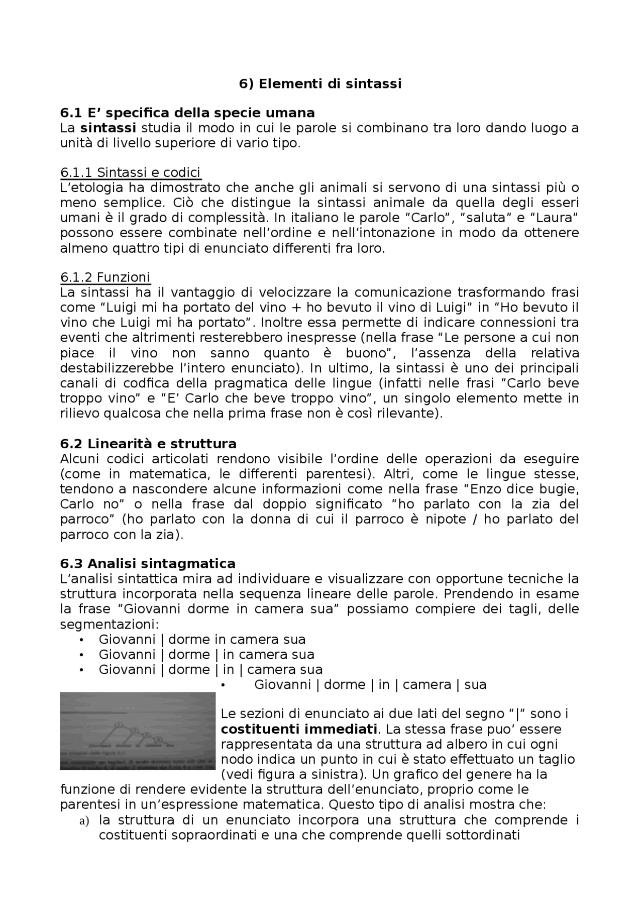 Nuovi Fondamenti Di Linguistica Riassunto Cap 6 Docsity