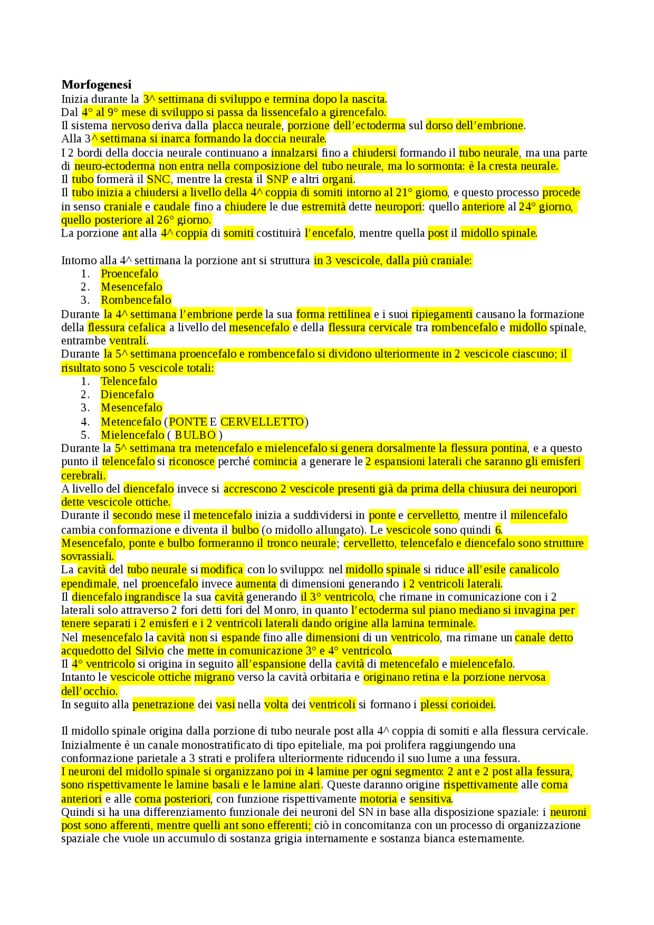 Riassunti Di Neuroanatomia Docsity