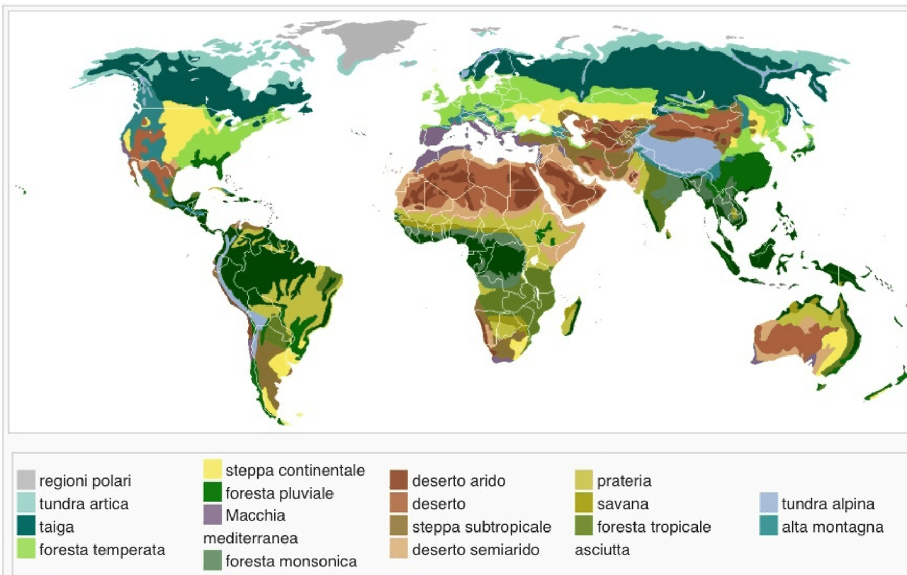 Biomi | Appunti di Ecologia | Docsity