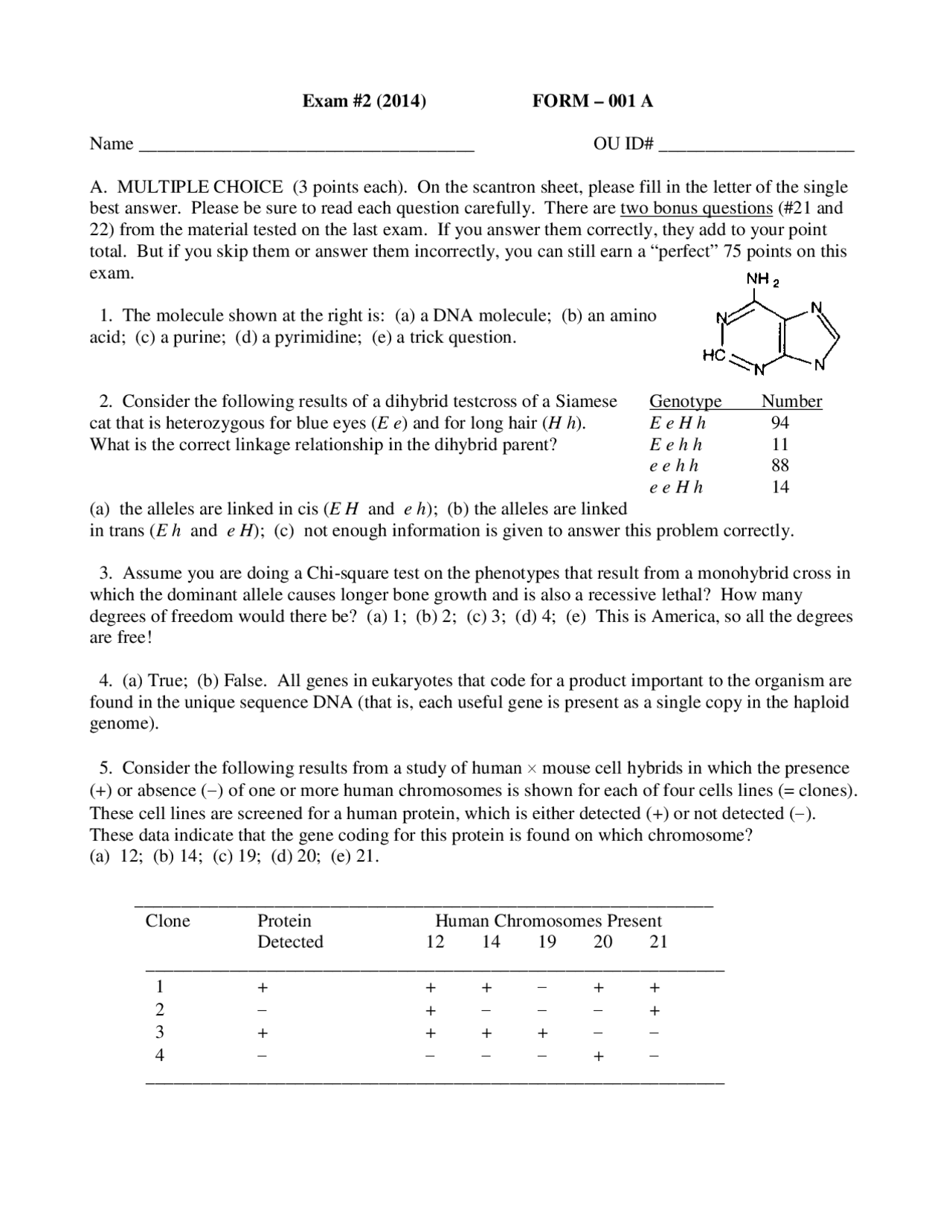 22 Questions On Exam 2 Genetics Biol 3333 Docsity