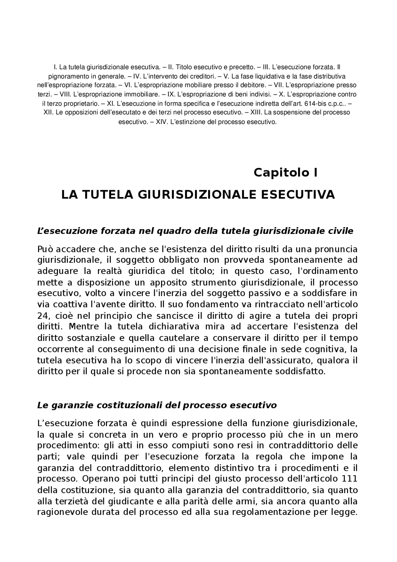 Riassunto Esecuzione Forzata Procedura Civile Docsity