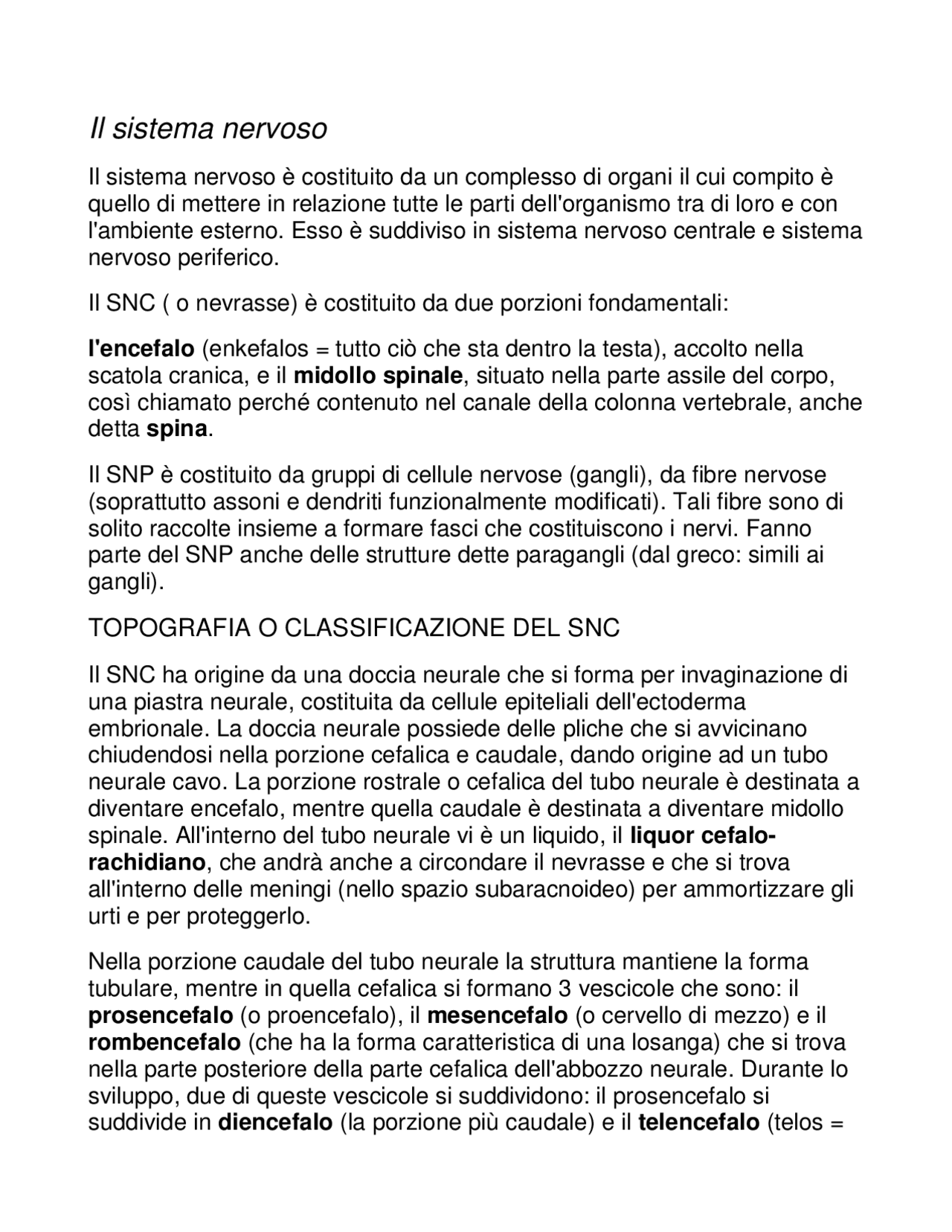 Appunti Neuroanatomia Docsity
